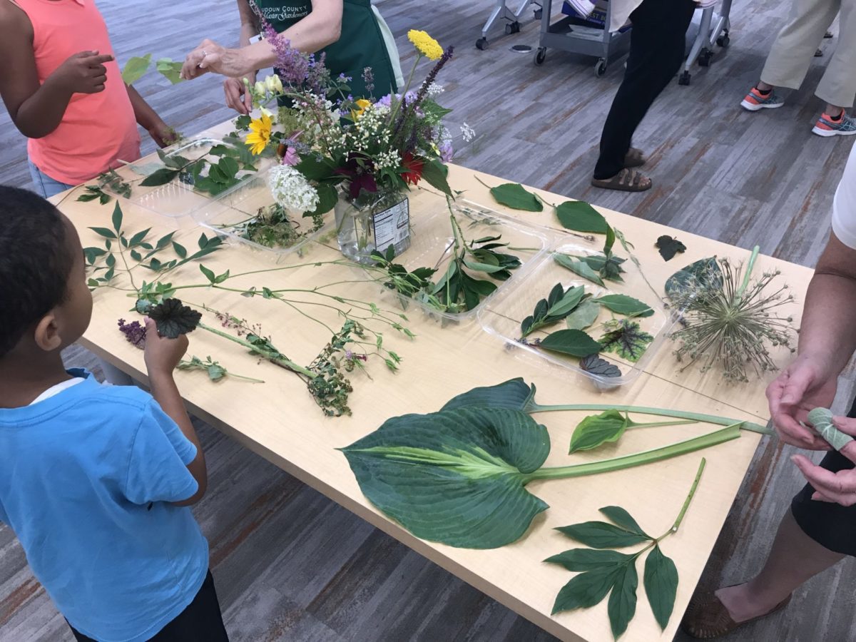 Loudoun County Library | Let's Move in Libraries