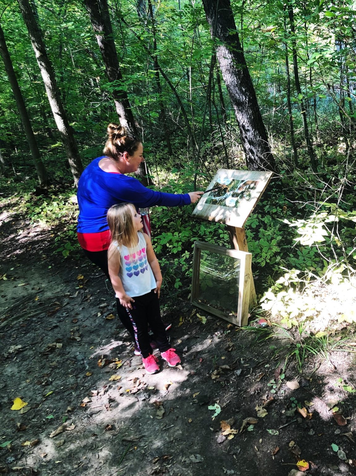 StoryWalk® Week 2021 | Let's Move in Libraries